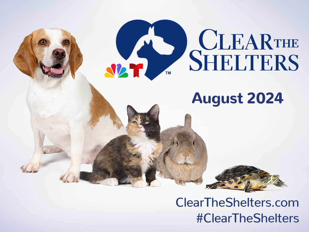Upcoming Events – Paws Place Dog Rescue